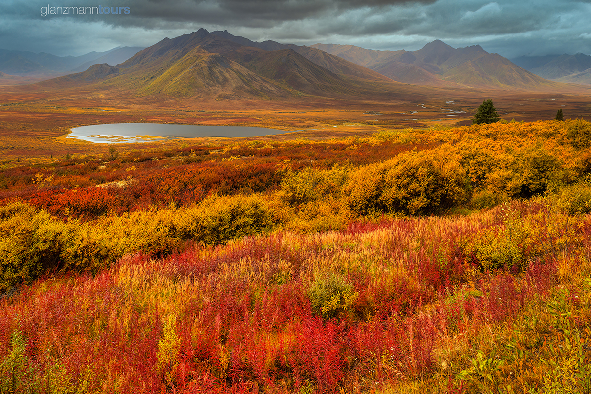 Photography Tours - and CABINS